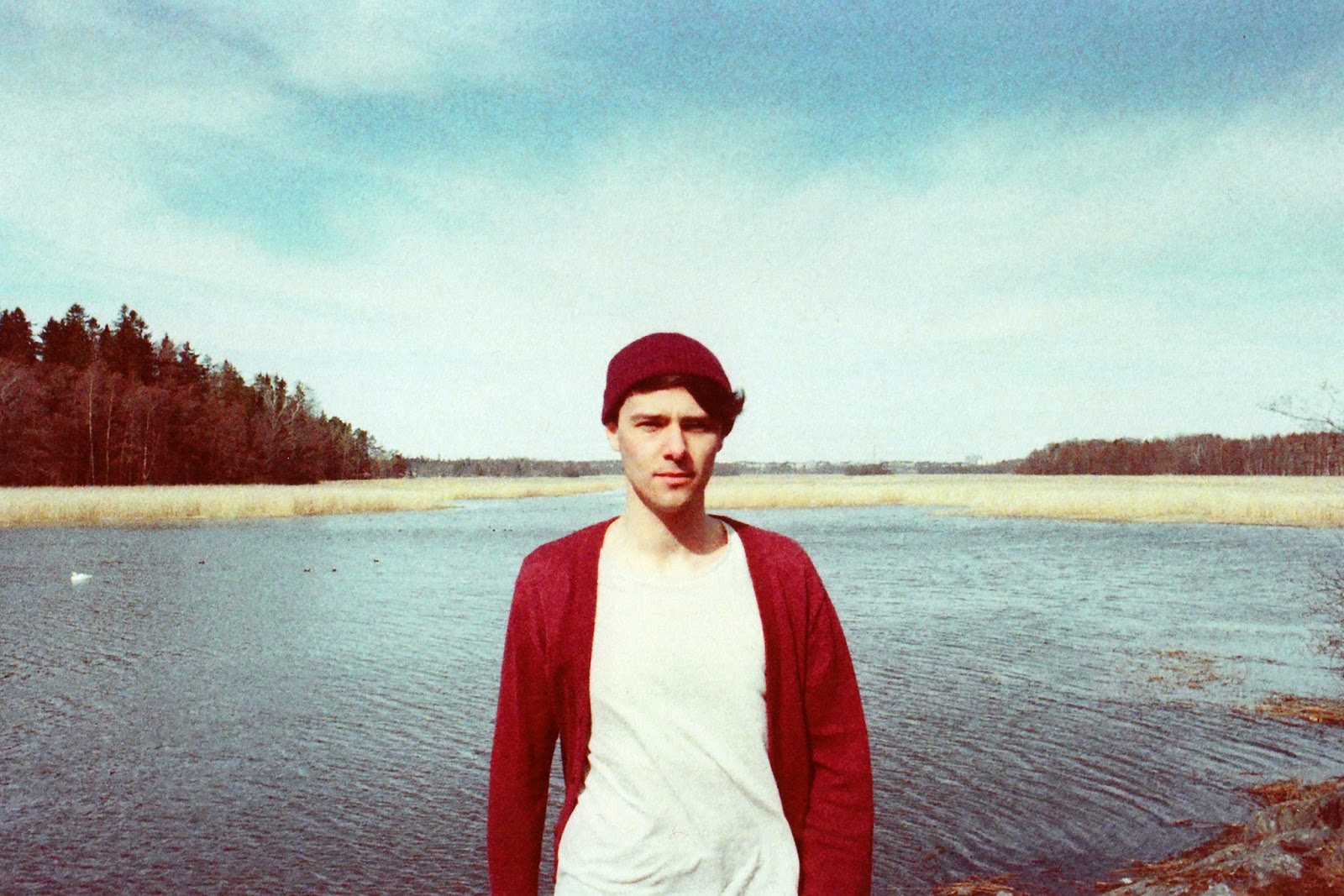 Passer Domesticus: adox color implosion I.