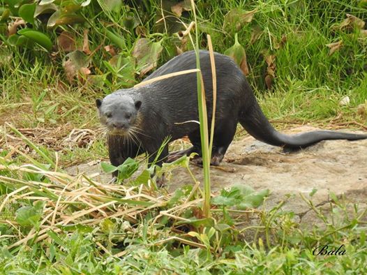 அறிவோம் அறிவிப்போம் : 2016