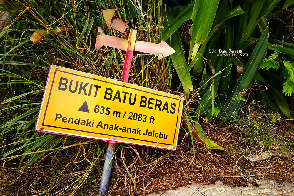 Bukit Batu Beras【米石山】烟霾之下的无边田野美景 - 乐飞翎 ♥ LUVFEELIN