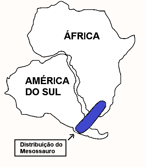 GeoEdu "O Universo das Geociências": Varvitos e Mesossauros