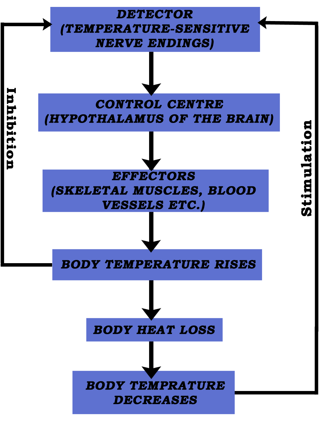 Homeostasis | Short notes