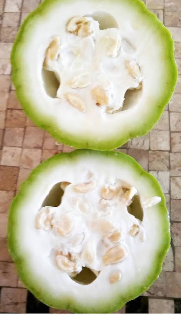 Caxixe, delícia do sertão