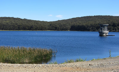 Gleeful: Dandenongs, Silvan Dam, old signs