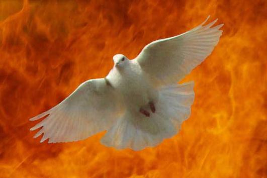 Just a Catholic: Baptized with the Spirit and Fire