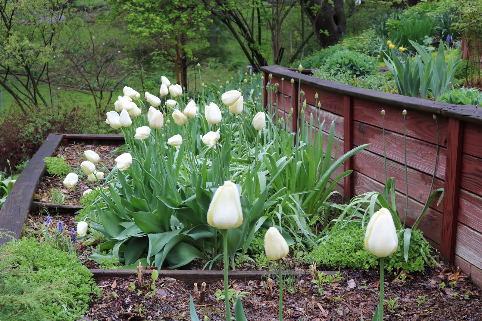 Amy's Creative Pursuits: Spring Garden 2019