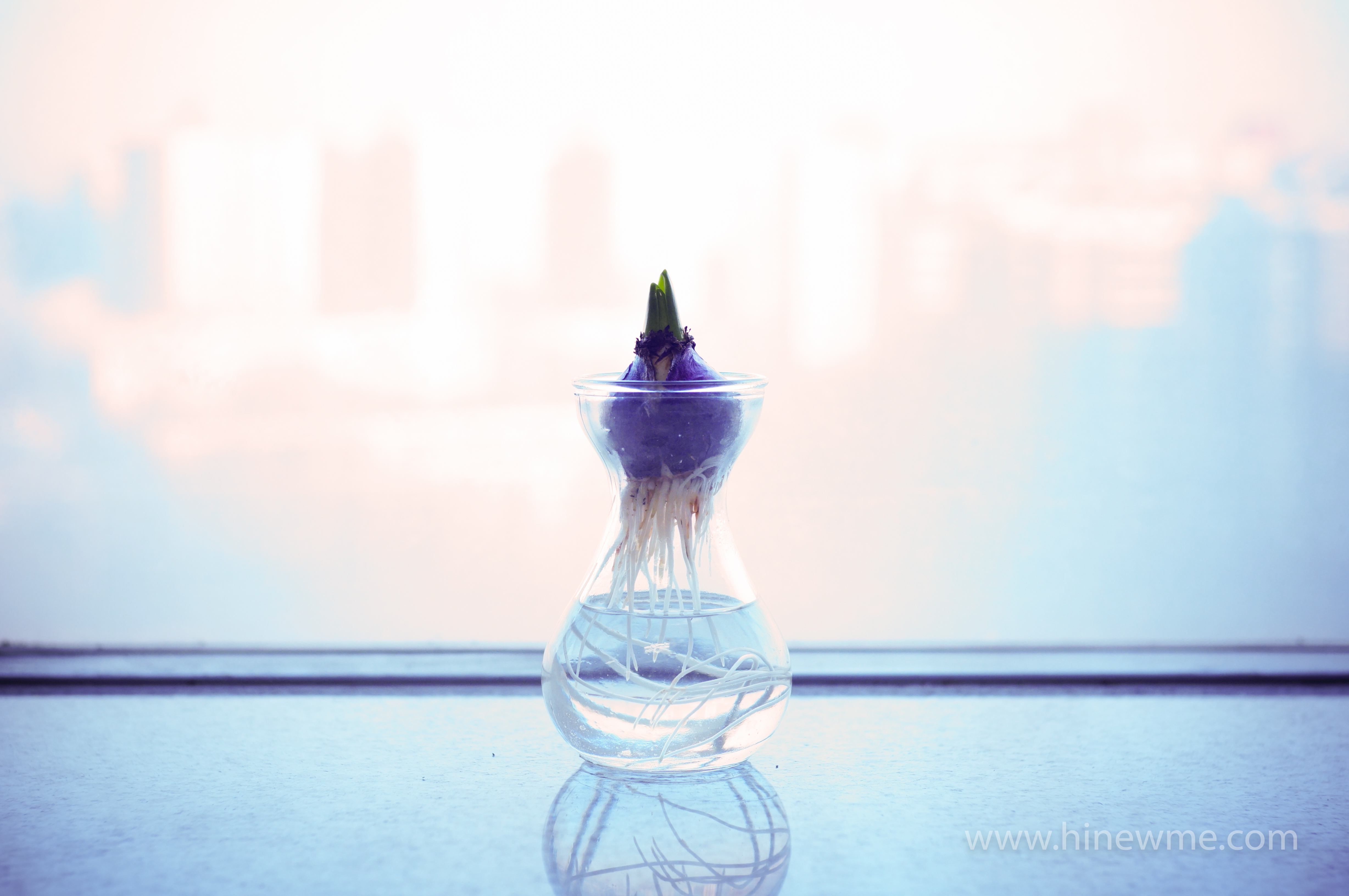 12 How to make beautiful landscape photos, photography skills ...