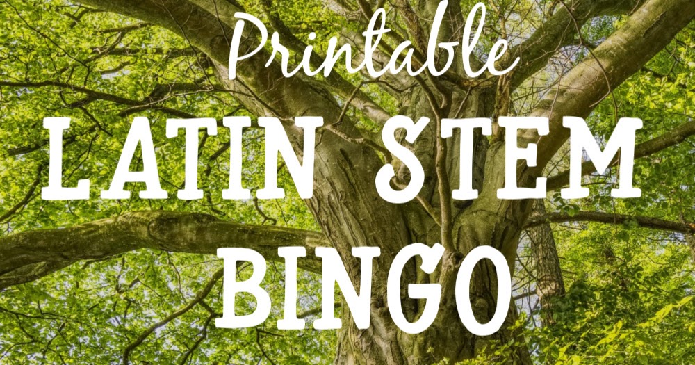 Latin Stem BINGO Is A Hands on Way To Improve Vocabulary Life With latin-stem-bingo-is-a-hands-on-way-to-improve-vocabulary-life-with