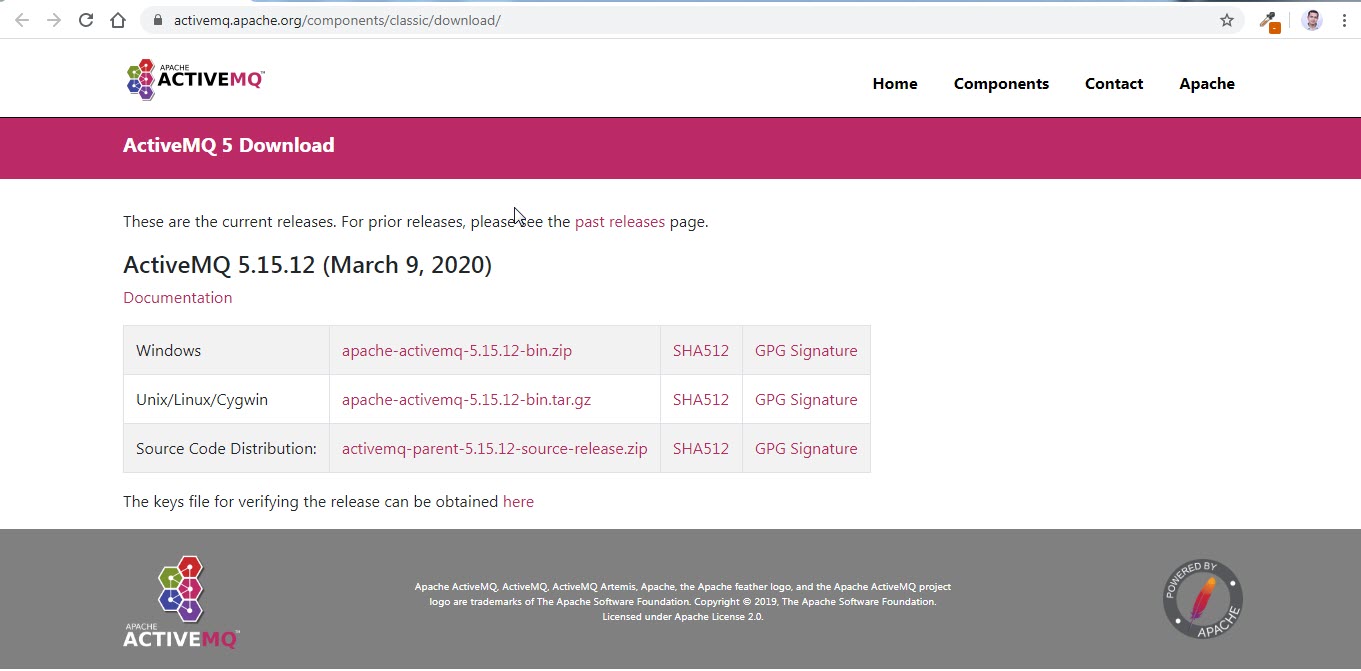 Java Experts Blog Java Examples Api Errors Exceptions Spring Boot Activemq 5896