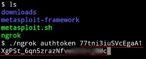 Use Metasploit in Termux
