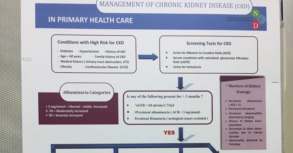 CKD (chronic kidney disease) management summary