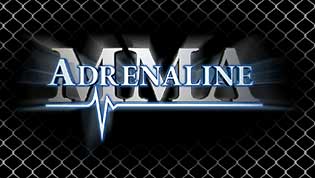 Live Sports: Mix Martial Arts Organizations