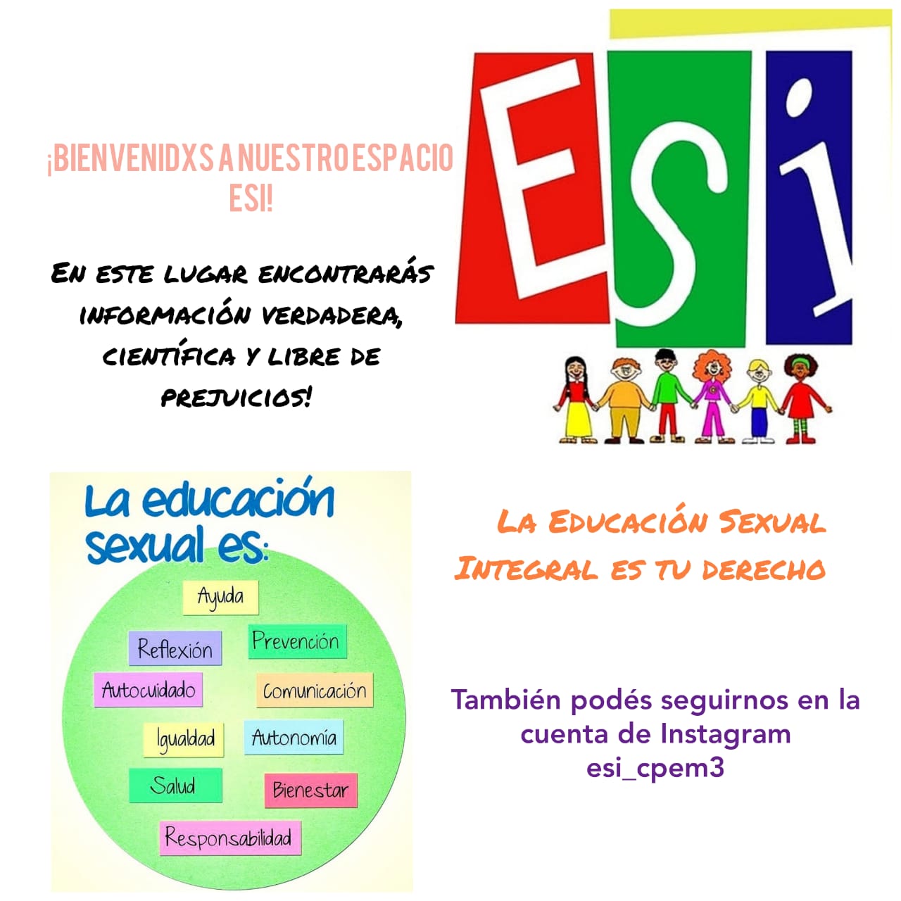 CPEM N° 3: ESPACIO ESI