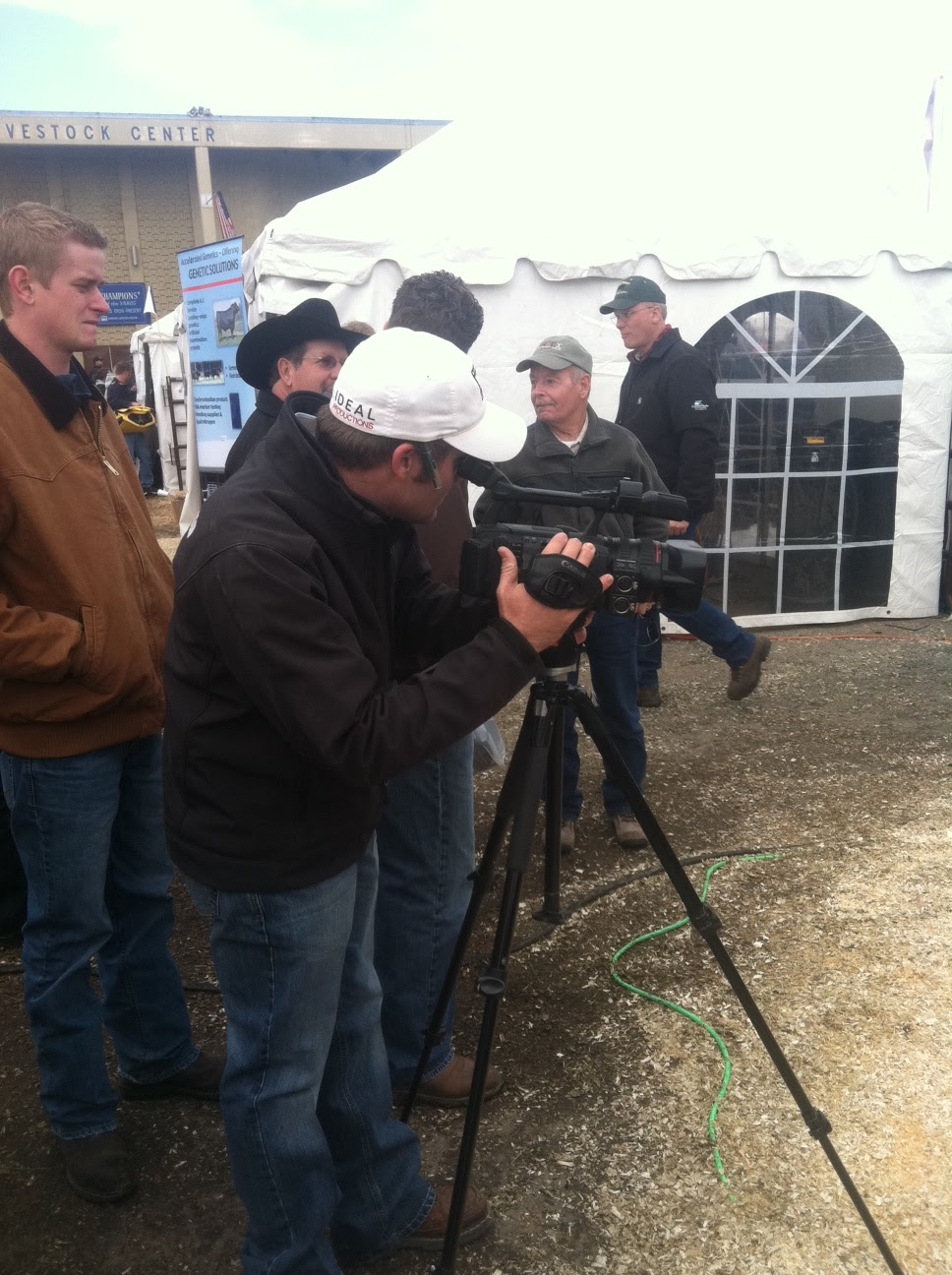 Holtkamp Cattle Co: January 2012