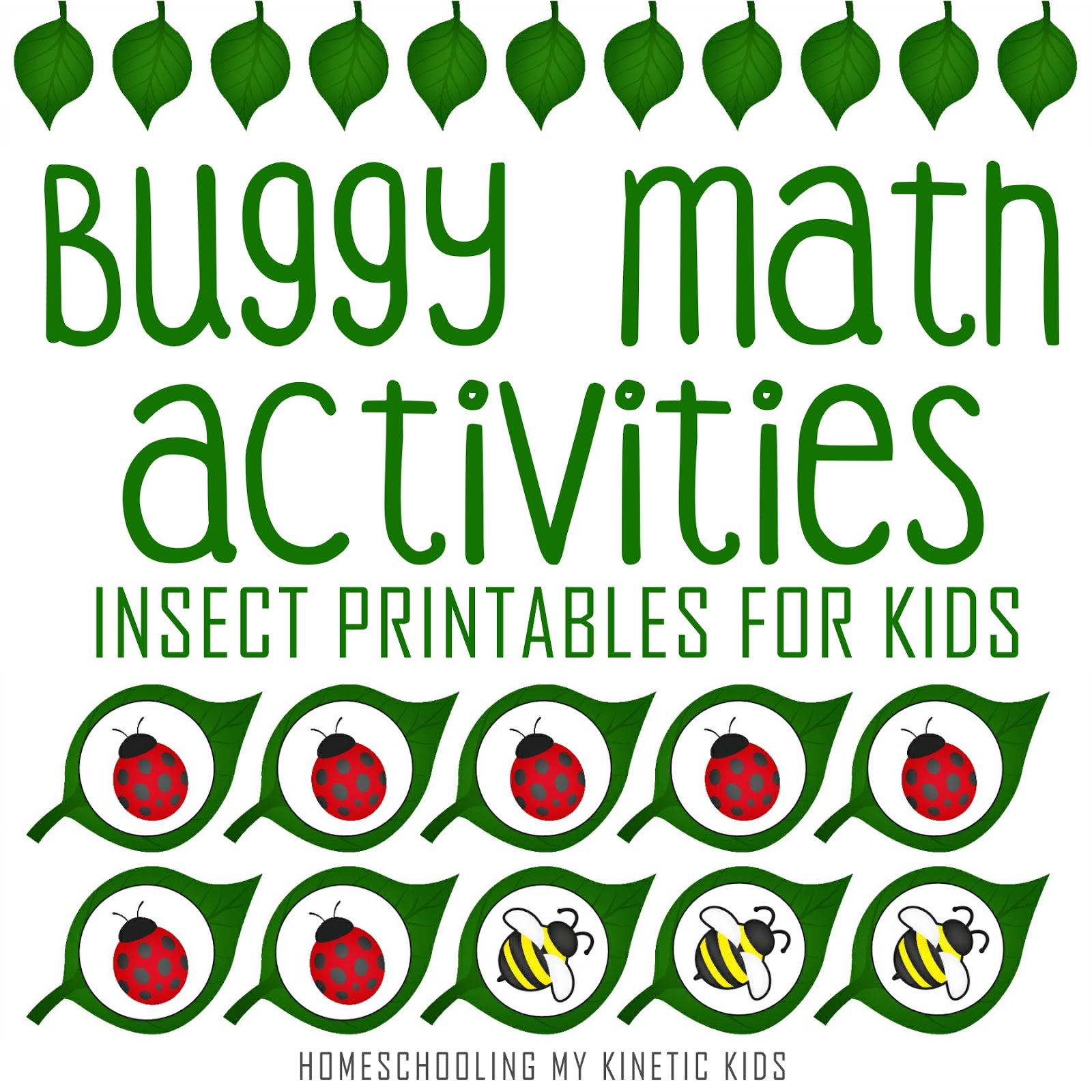 Insect Math Worksheets