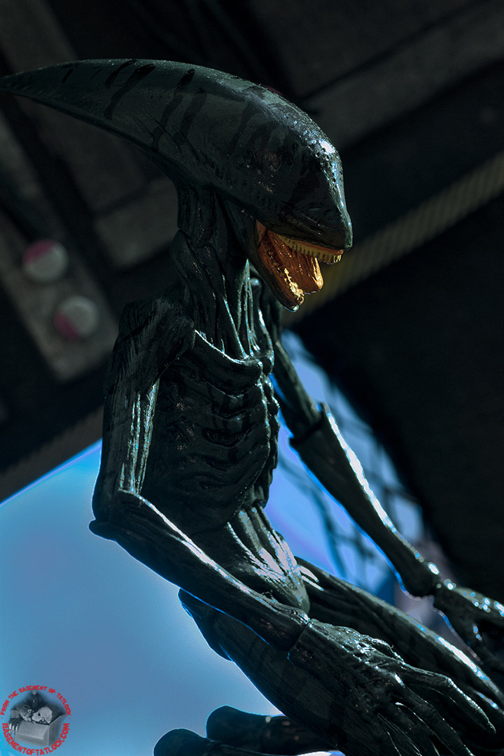 Prometheus Series 2: Deacon 7" Action Figure Showcase - ACTION FIGURES ...