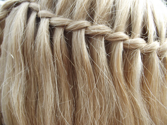 xmellisbeauty: Soorten Vlechten