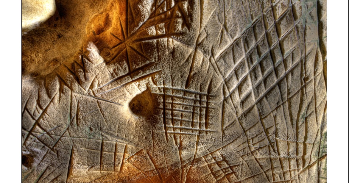 Gravures rupestres de la région de Fontainebleau. 2016 014