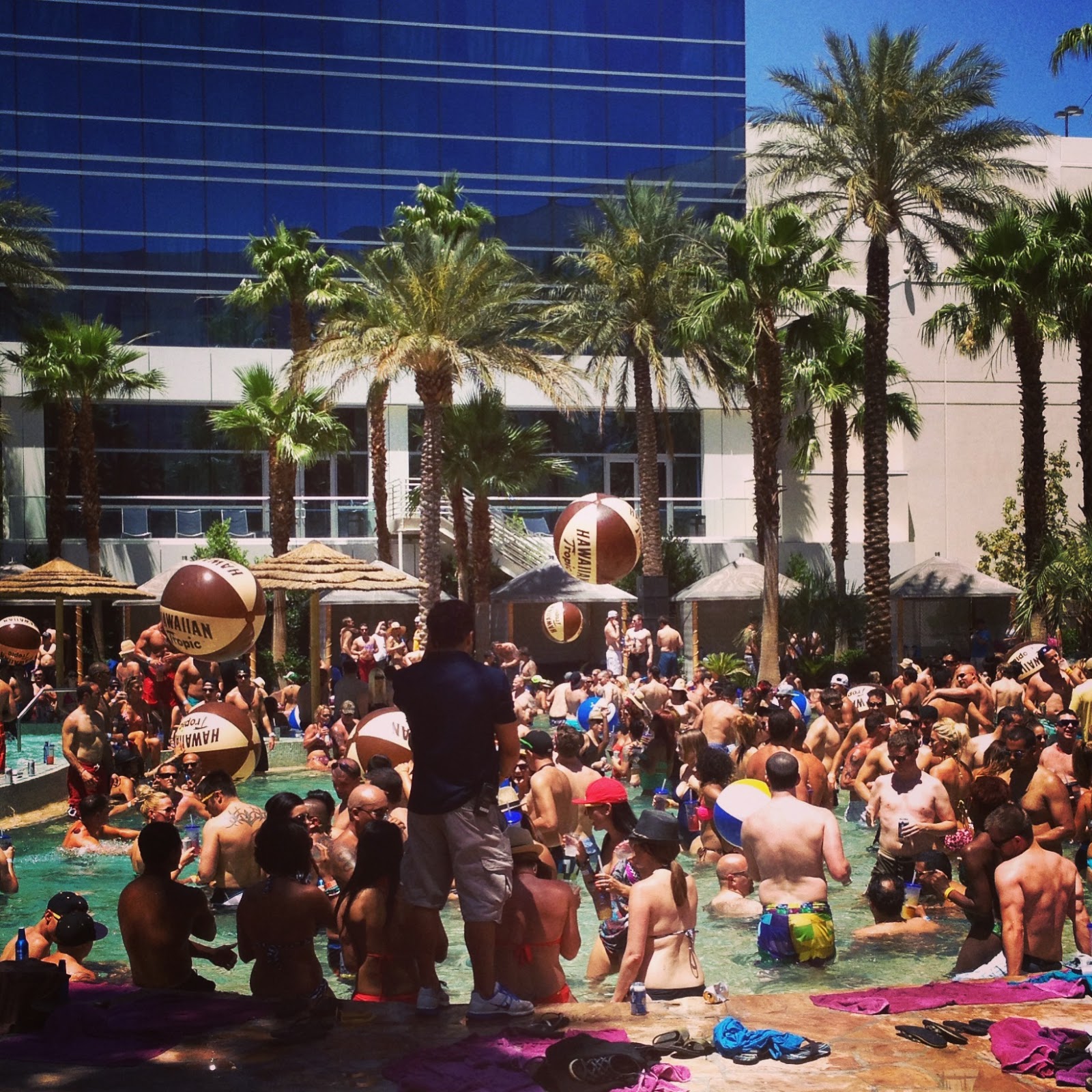 Five for Friday! - Susan Jones Teaching