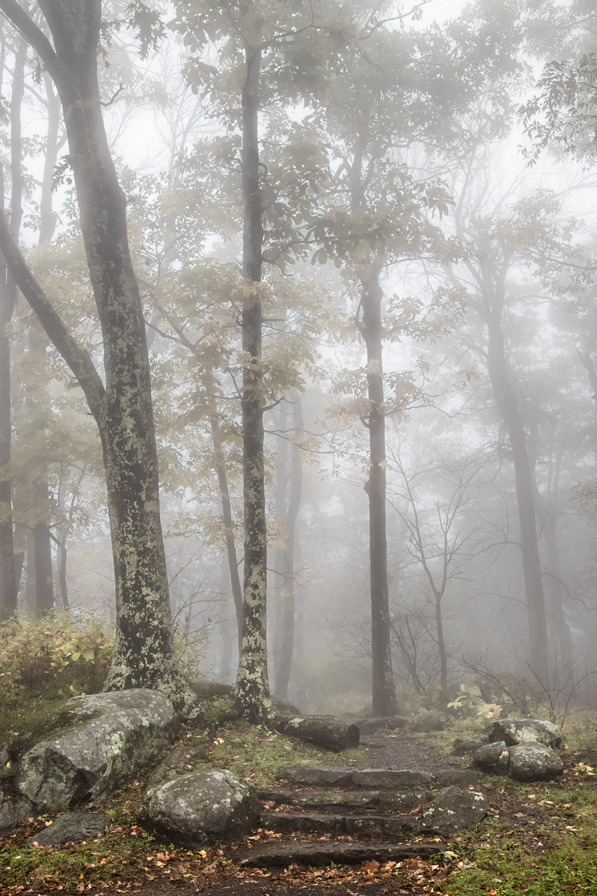 Tao of Photography by Andy Ilachinski: Silent Language