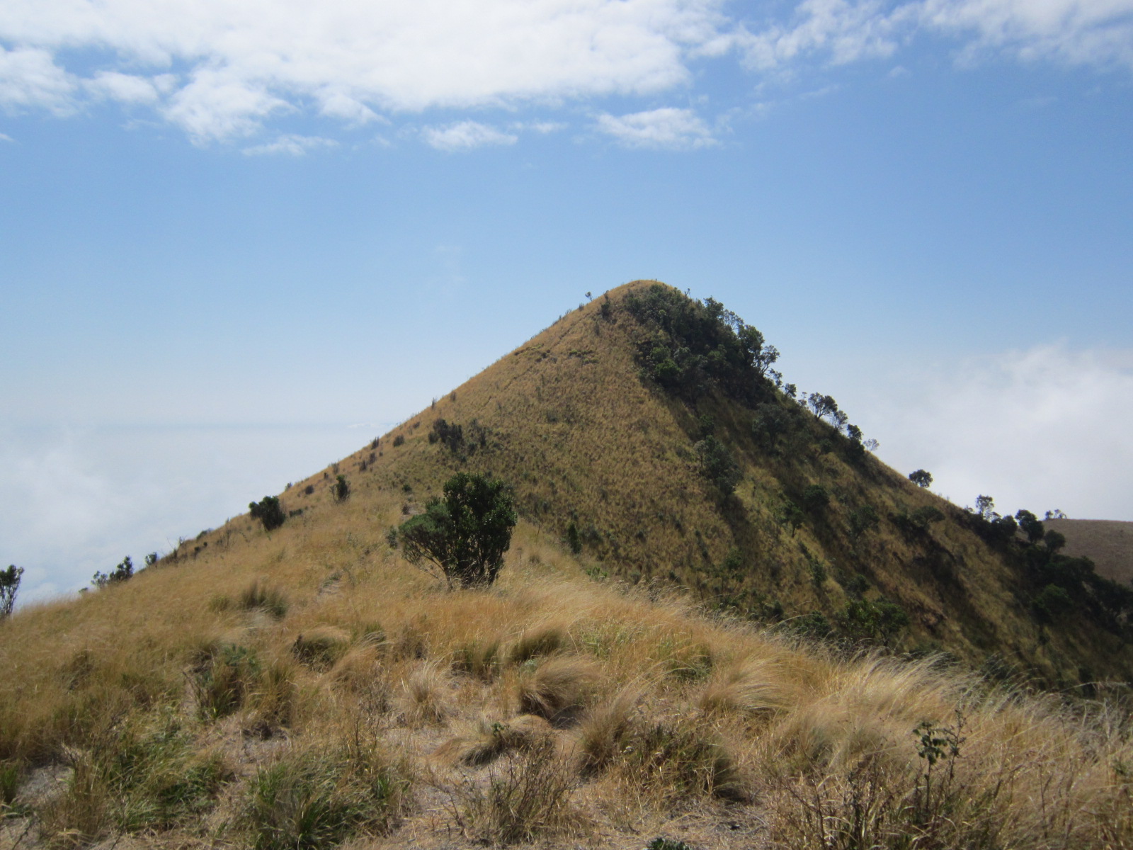 Design Photography: Mount Merbabu Climbing Lane Photography