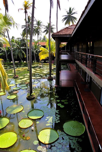 Dindi by the Godavari: A perfect holiday destination in coastal Andhra