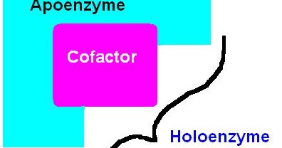 MedicoNotebook: Cofactors - Coenzymes and Ions