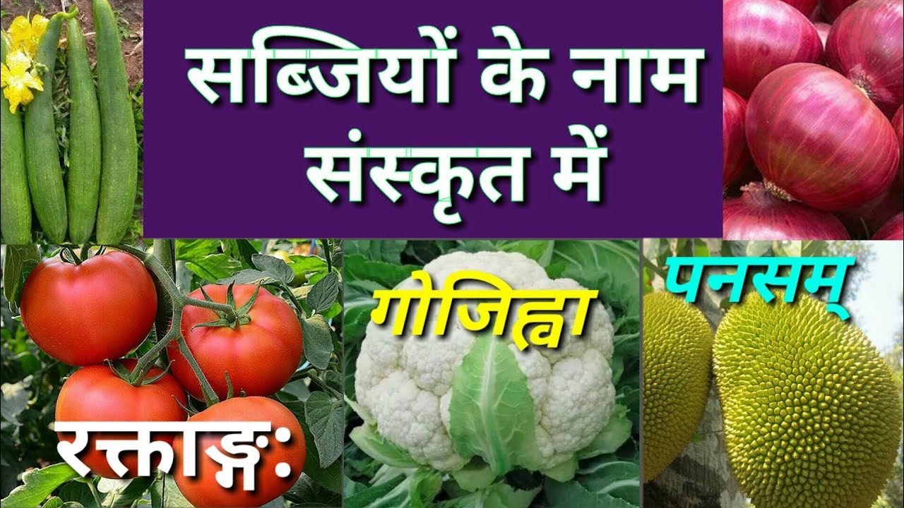Sanskrit Me Sabjiyo Ke Name Vegetables sanskrit-me-sabjiyo-ke-name-vegetables