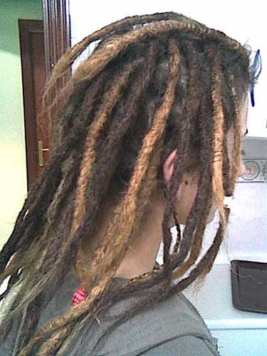 CULTURA RASTA NO MARIHUANA