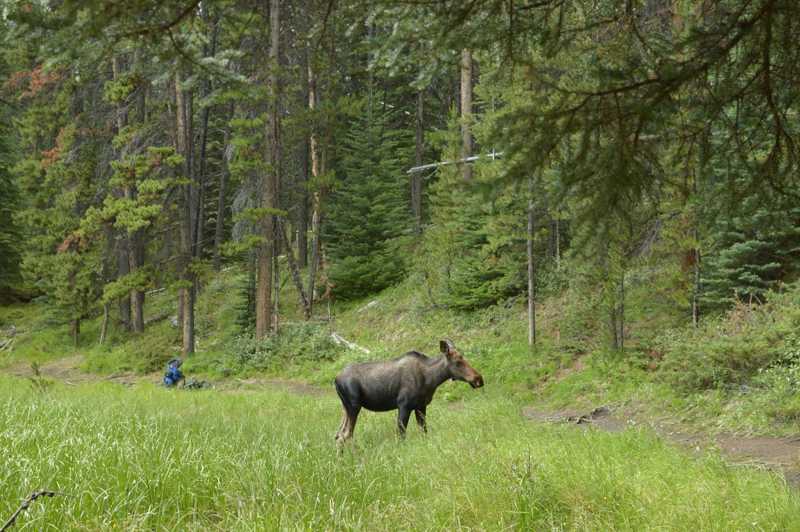 A Memory Of Us: Itinerary for Our Trip to Banff and Jasper | A Kansas ...