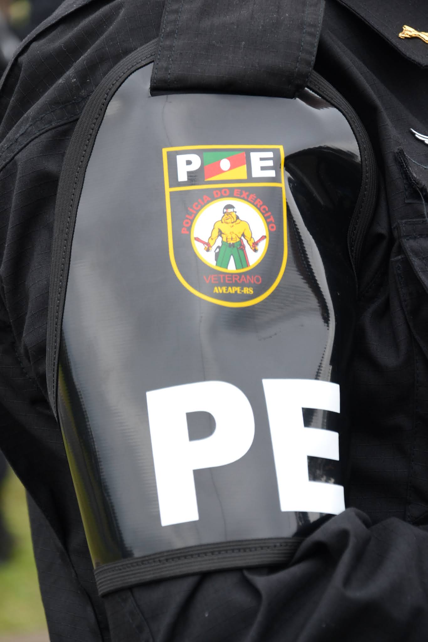 Blog Veteranos 3º BPE: VETERANOS DA POLÍCIA DO EXERCITO