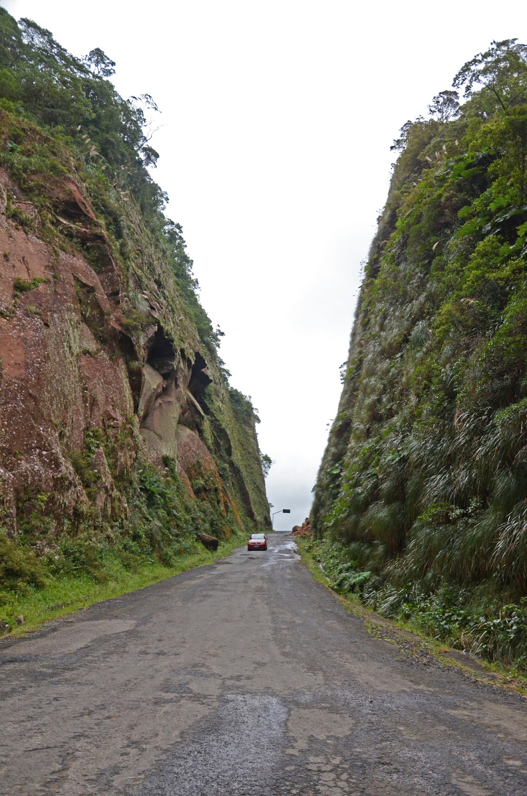 Expedições Fitogeográficas - Brasil e América do Sul: SERRA DO CORVO ...