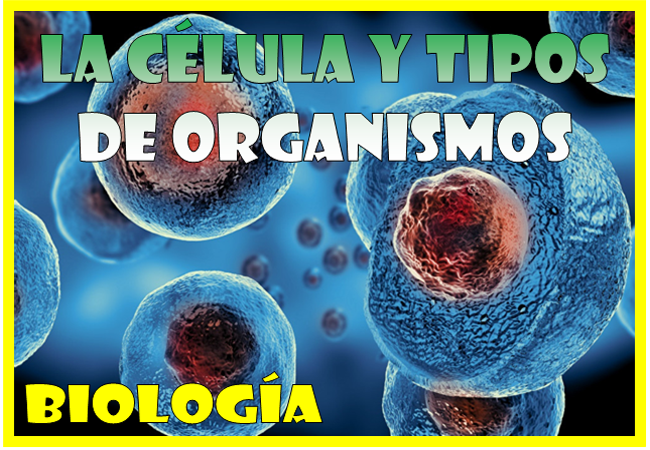 La célula y tipos de organismos [Biología] ~ Optifutura