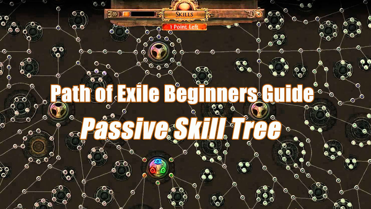 Path of Exile Beginners Guide - Passive Skill Tree