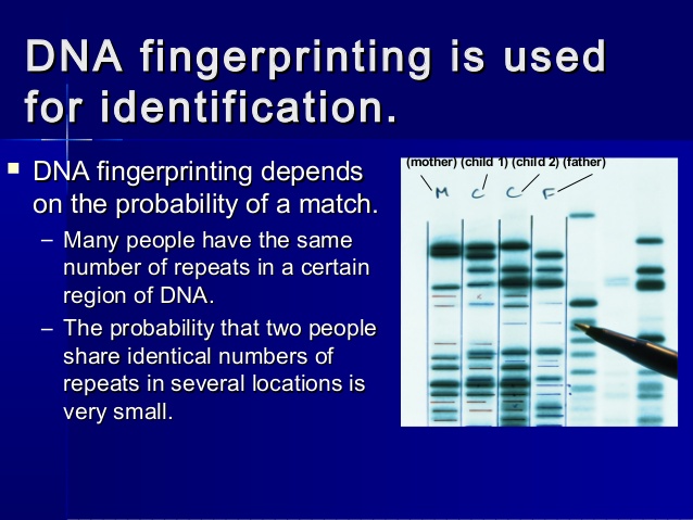 EXAMS AND ME : The Pitchfork Case