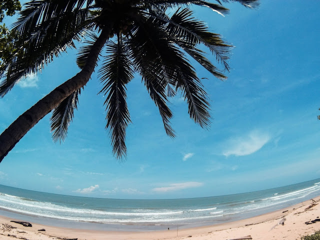 Pandan Beach Homestay & Warong Kopi: Introduction of Pandan Beach