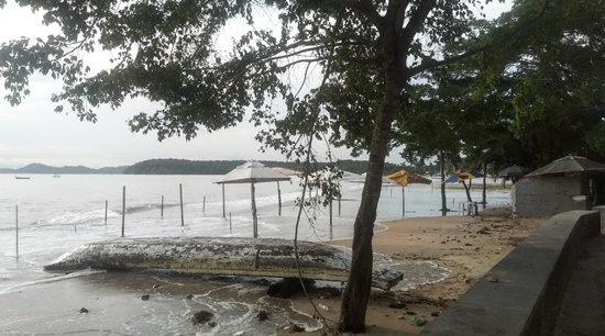 Júlia Modelo de Modelo: Ilha de maré - Itamoabo, Gamboa, Praia das ...