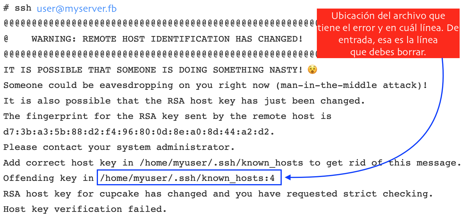 Ssh WARNING REMOTE HOST IDENTIFICATION HAS CHANGED c mo Solucionar Pathros Ssh WARNING REMOTE HOST IDENTIFICATION HAS CHANGED c mo Solucionar Pathros