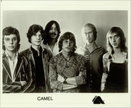 Camel