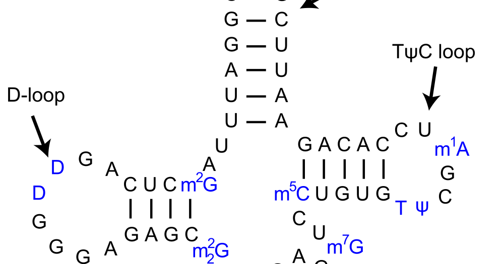 Python for Bioinformatics: DNA Sequencing: classical approaches