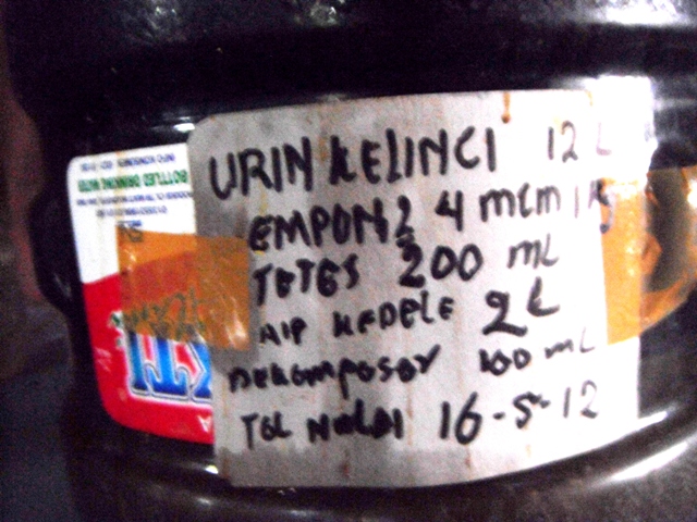 HERBAL dan JAMU: Pupuk Organik Cair urin sapi dan kelinci