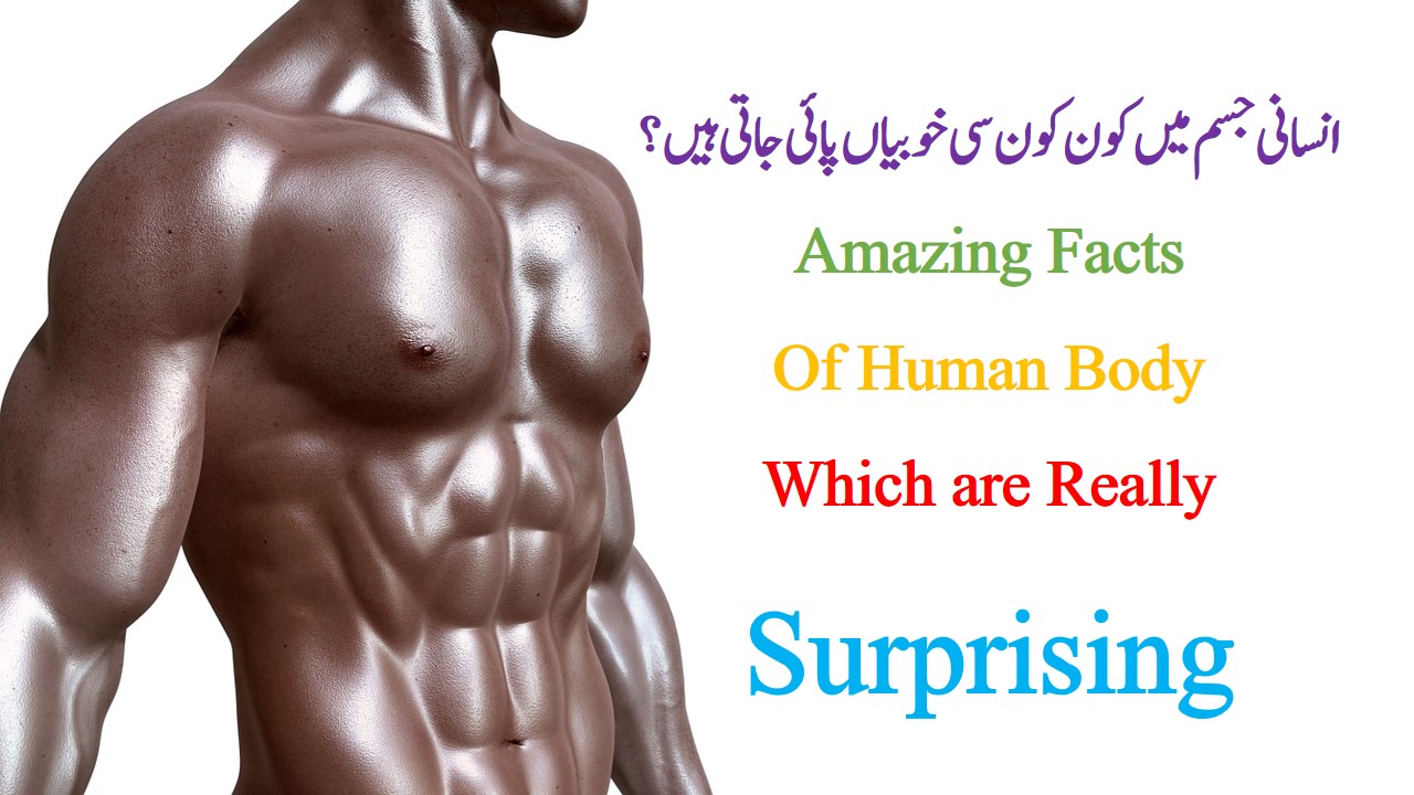 Some Amazing Facts about Human Body