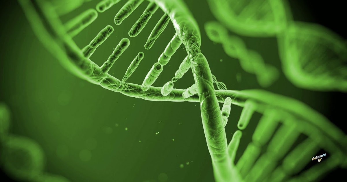 Методическа характеристика на основните видове уроци по биология.