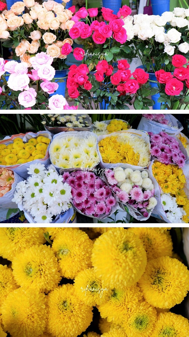 Pasar Bunga Kotabaru Jogja - RANSEL MUNGIL