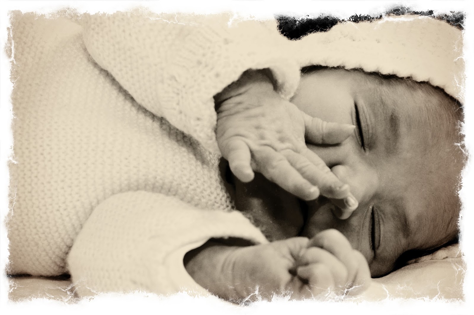 Oscar Lechuga Fotógrafo