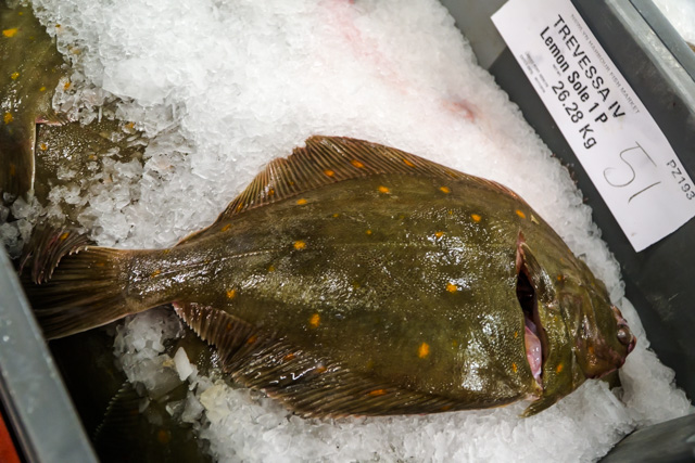 Through the Gaps! - Newlyn Fishing News: Not a cloud in the sky for ...