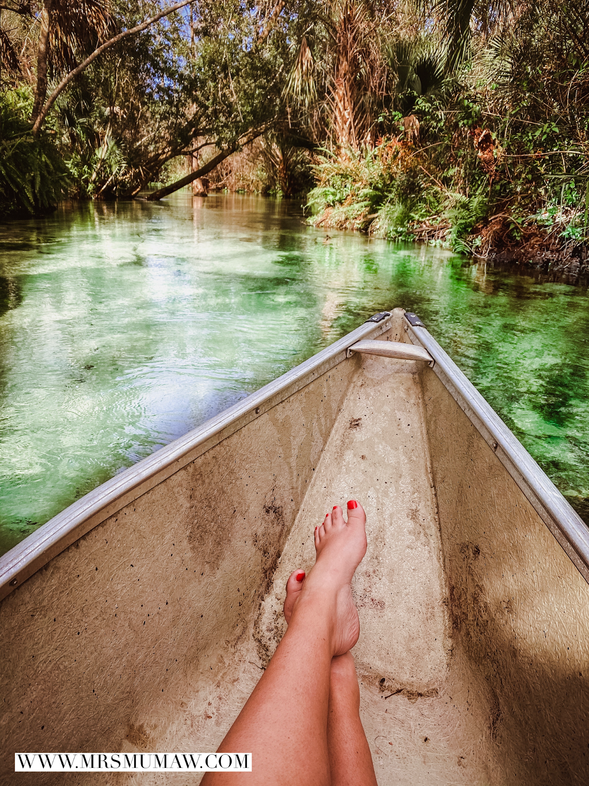 Canoeing Kings Landing Florida with Kids | Kelly Park Apopka Florida ...