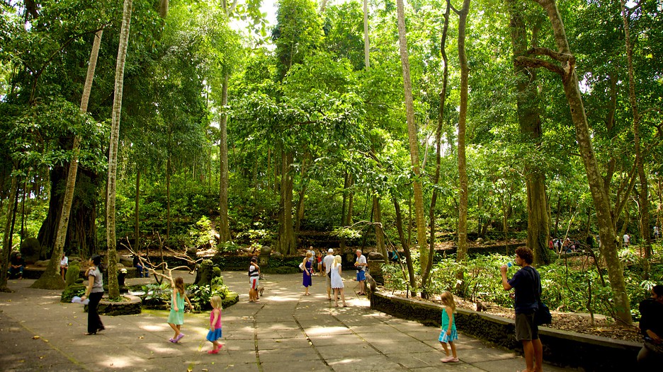 Ubud Monkey Forest In Bali - Travel World