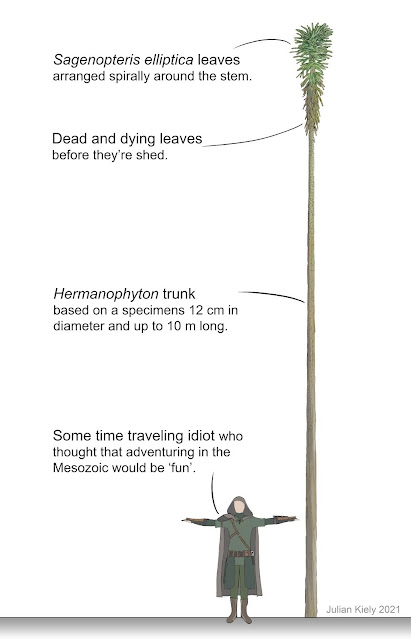 Fantastic Caytoniales and how to reconstruct them.