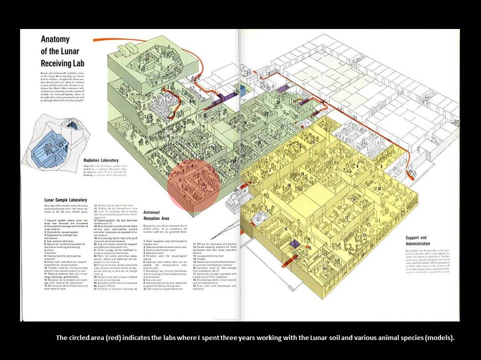 Fifty Years Ago at the Lunar Receiving Laboratory (1969-2019)