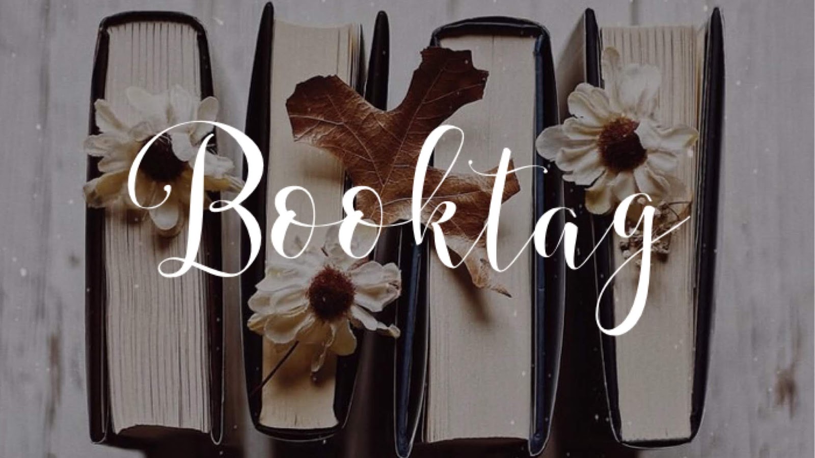 [BOOKTAG] ALICIA EN EL PAÍS DE LAS MARAVILLAS | Zaybet